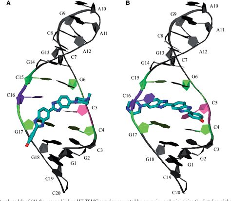Figure 1 From Translational Repression Of Thymidylate Synthase By Targeting Its Mrna Semantic