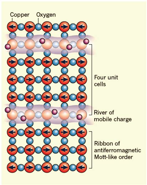 High Magnetic Field Induced Charge Order In High T C Cuprate Superconductors Project