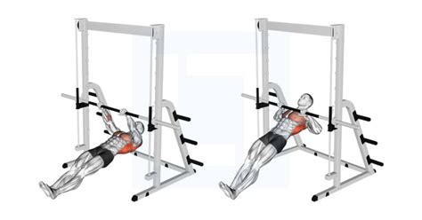 Inverted Row Guide Benefits And Form Inverted Row Guide Benefits And Form