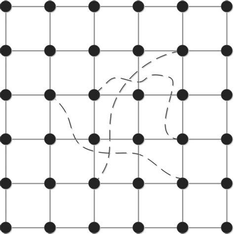 Schematics Of A Long Ranged Connected Lattice Download Scientific