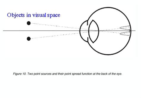 Visual Acuity By Michael Kalloniatis And Charles Luu Webvision