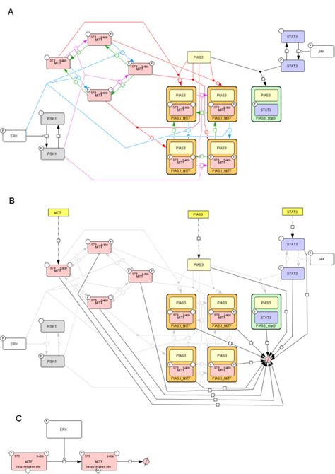 Graphical Representation Of The Model The Graphs Are Represented In Download Scientific