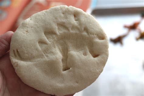 How To Make DIY Dinosaur Fossils Life Anchored How To Make DIY Dinosaur Fossils Life Anchored