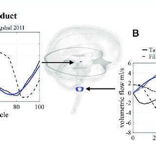 CFD Simulation Results Blue And Literature Measurements Black Of Download Scientific