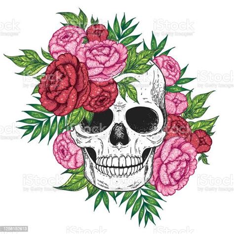 두개골과 꽃 손으로 그린 그림 문신 빈티지 프린트 두개골과 모란 고스에 대한 스톡 벡터 아트 및 기타 이미지 고스 꽃 식물