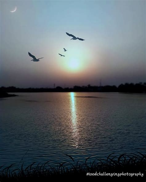 Moodchallenger Gallery