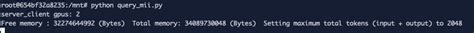 Multi Gpu Inference The Query Gets Stuck When Using My Own Provider