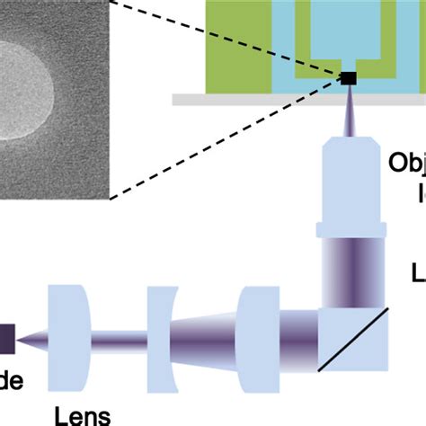 Schematic Illustration Of The Nanopore Irradiation Process A Typical