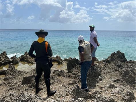 Чтобы сфотографироваться с акулами туристы платят за то чтобы их заманили едой на побережье