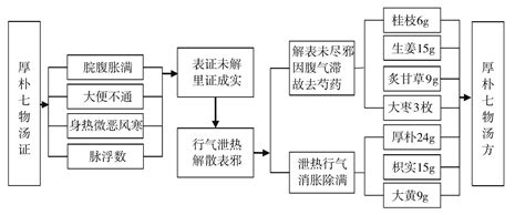 厚朴七物汤证 仲景方证解读与应用 医学