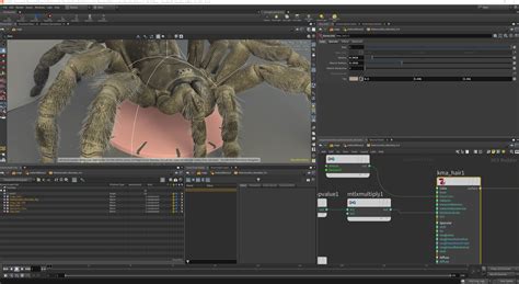 applying basecolor on karma hair shader from a texture map r houdini