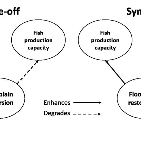 Pdf Ecosystem Service Trade Offs And Synergies Misunderstood Without Landscape History
