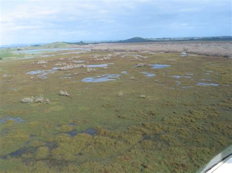Flooding From Underneath New Tool Reveals Shallow Groundwater