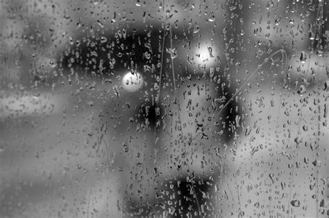 무료 이미지 눈 빛 검정색과 흰색 사진술 조직 비 창문 유리 젖은 우산 날씨 두 단색화 조명을받은 미술 등 독일 바이에른 벌금 흐릿한