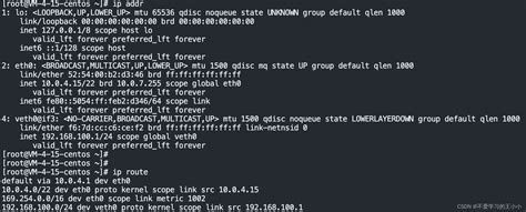 【linux 虚拟网络实战之veth上】 veth0 csdn博客