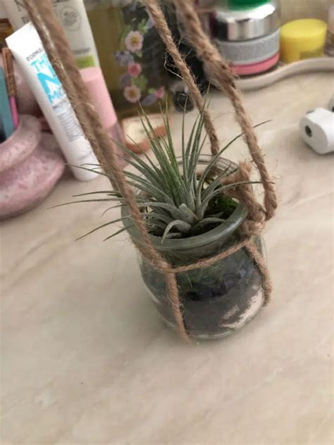 Просте макраме як підвісити кашпо з рослинами за допомогою вузликів Самотужки