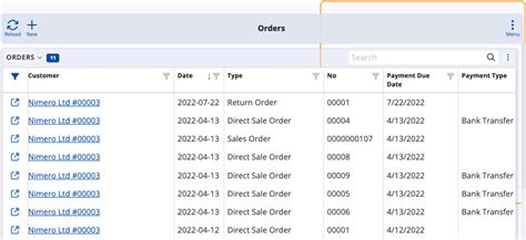 Customize Fields Names V 24 Erpbg