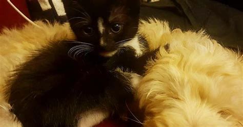 Squigs N Clyde Album On Imgur