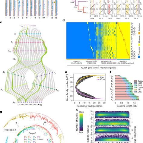 Pdf Genomic Innovation And Regulatory Rewiring During Evolution Of