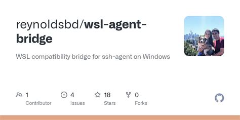 Wsl Compatibility For Windows Ssh Agent Powered By Rust And Tokio Rrust