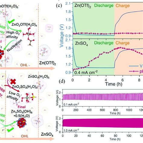 Schematic Representation Of Reaction Process In The Inner Helmholtz Download Scientific Diagram