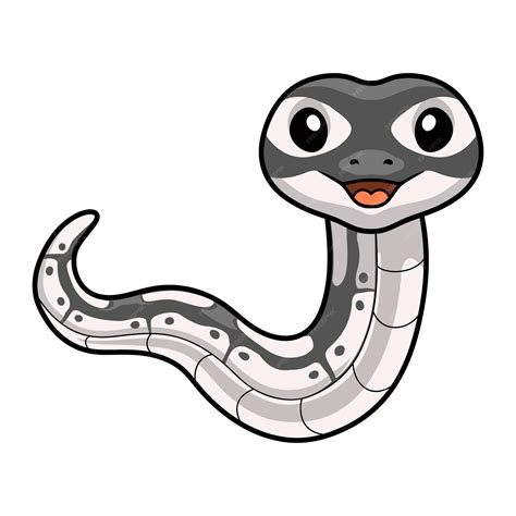 Dessin Animé Mignon Python Boule Axanthique Vecteur Premium