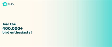 Amazon Com NETVUE By Birdfy Upgraded Smart Bird Feeder Camera Solar Powered Auto Bird Video