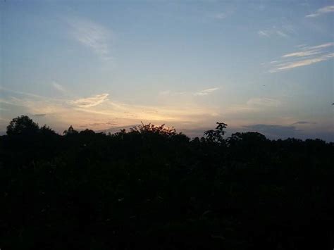 如何认定房地产开发企业构成土地闲置？ 知乎