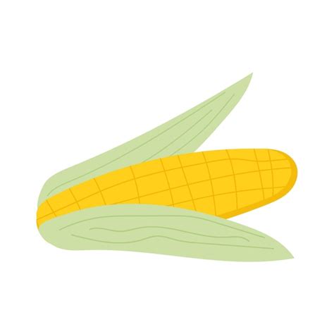 흰색 배경에 옥수수의 노란색 귀 벡터 만화 Illustrationvector 격리 아이콘 프리미엄 벡터