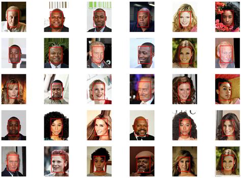 Sample Images After MTCNN Was Used For Face Detection A Sample Face