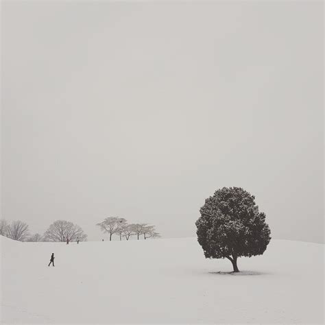 체리가 가지고 있는 효능 건강을 지키는 슈퍼푸드 체리의 놀라운 이점