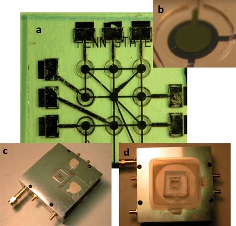 Optical Photographs Of The Y Cut Quartz Based Bulk Acoustic Wave Download Scientific Diagram
