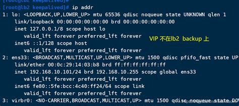 Kubernetes 集群部署 之 多master节点 实现高可用 Kubernetes Master高可用 Csdn博客