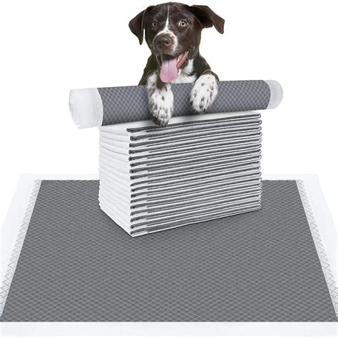 S43365d3998a447cd96b2c503a9eb2ff1k