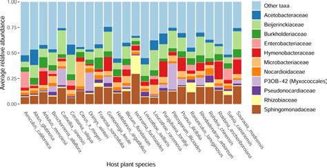 Barplot Representing The Relative Abundance Of The 11 Most Abundant Download Scientific Diagram