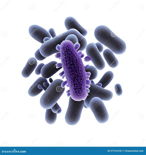 Pseudomonas Aeruginosa Bacteria Rod Shaped Purple Bacteria Pathogenic Microflora Biologically