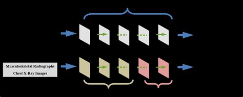 The Proposed D Object Detection Network With Fine Tuning Method Download Scientific Diagram