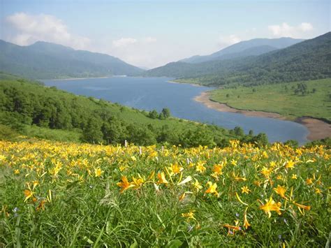 วิธีการเดินทาง เวลาทำการ และสถานที่ท่องเที่ยวใกล้เคียงของ ทะเลสาบโนโซริ Matcha สื่อการท่อง