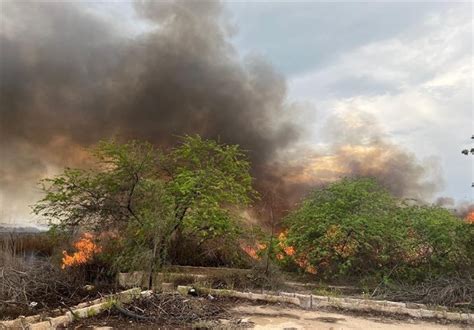 افزایش خطر آتش‌سوزی در جنگل‌ها و مراتع کرمانشاه تسنیم