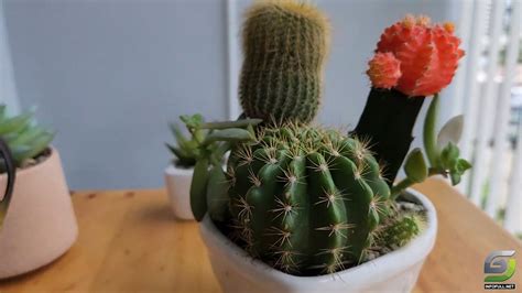 Samsung Galaxy Z Fold Camera Test Full Features Gsm Full Info