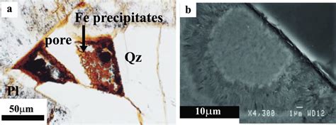 Photographs By Optical Microscope Open And Sem A Spherical Iron