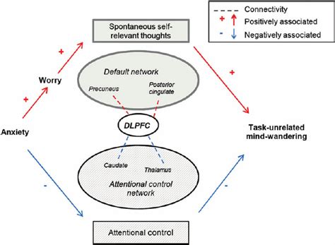 Illustration Of The Proposed Relationship Between Trait Anxiety Worry
