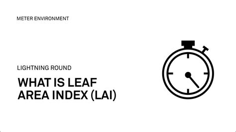 What Is Leaf Area Index Youtube