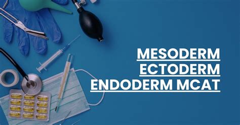 Mesoderm Ectoderm Endoderm Mcat Mcat 101