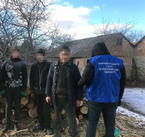 У Полтавському районі викрили браконьєрів який спиляли дерев на 770 тисяч Полтавщина