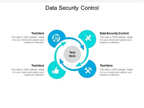 Data Security Control Ppt Powerpoint Presentation Layouts Inspiration Cpb