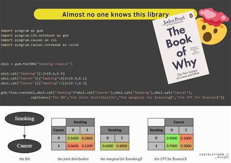Donia Ksiaa On Linkedin Pyagrum Python Machinelearning