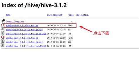 Hive数据仓库的安装配置配置hive Guava修改 Csdn博客