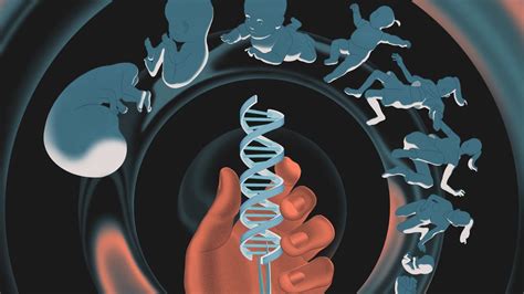 The Transformative Alarming Power Of Gene Editing The New Yorker