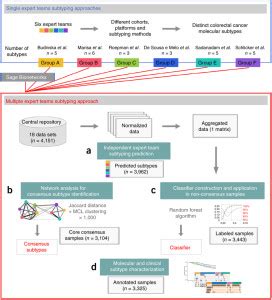 Workflow RNA Seq Blog